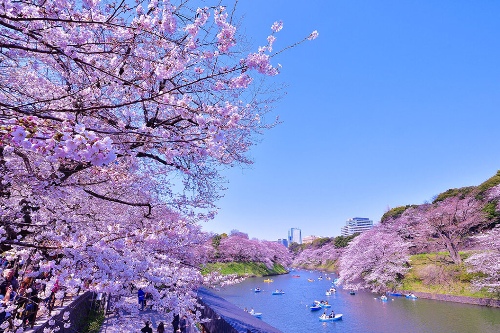 Top 10 Most Romantic Proposal Spots in Tokyo Japan