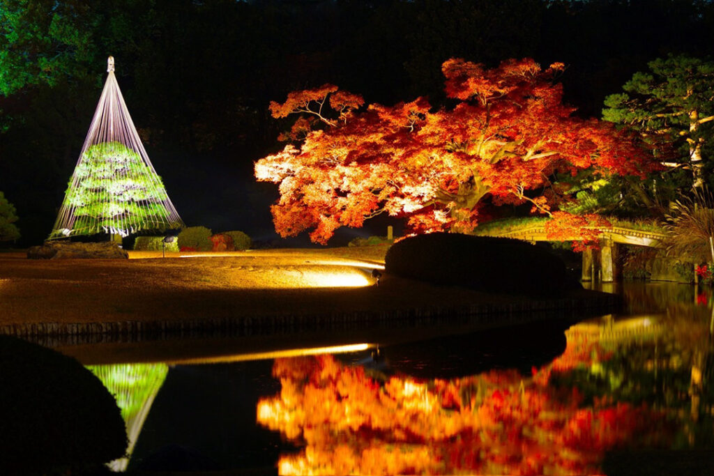 Top 10 Most Romantic Proposal Spots in Tokyo Japan