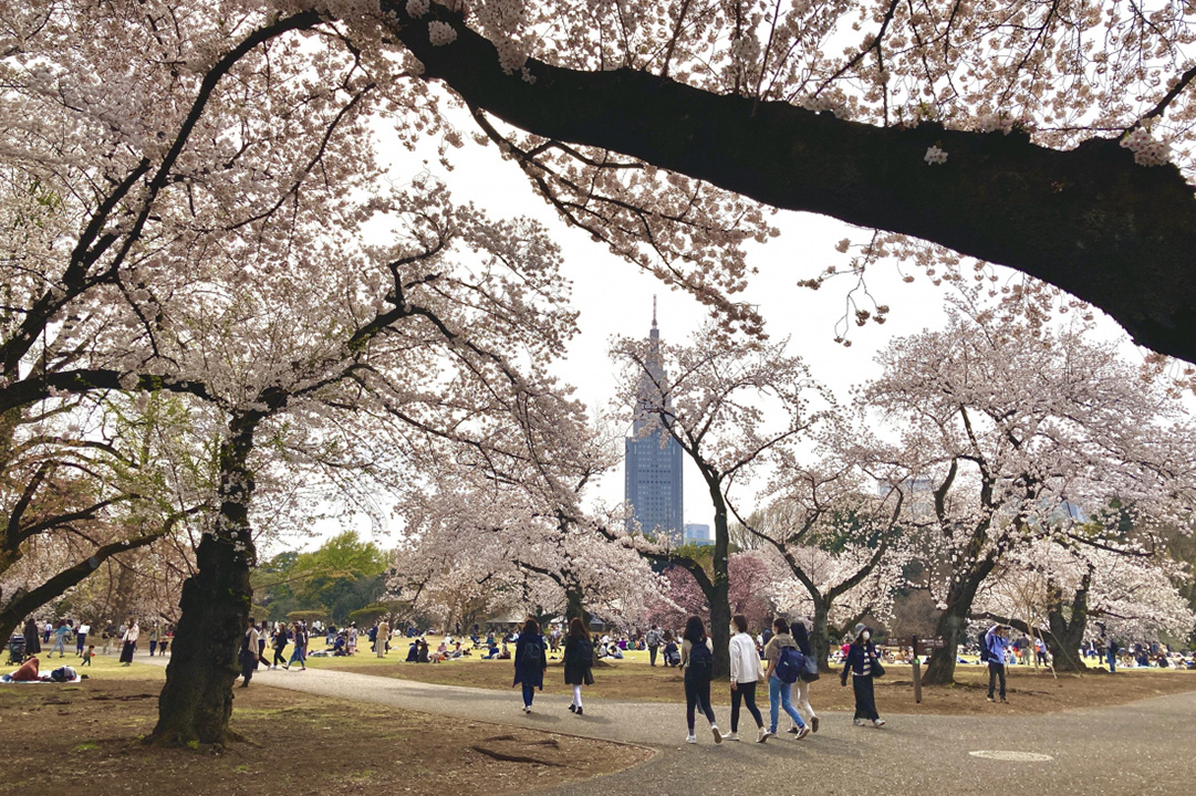 Top 10 Most Romantic Proposal Spots in Tokyo Japan