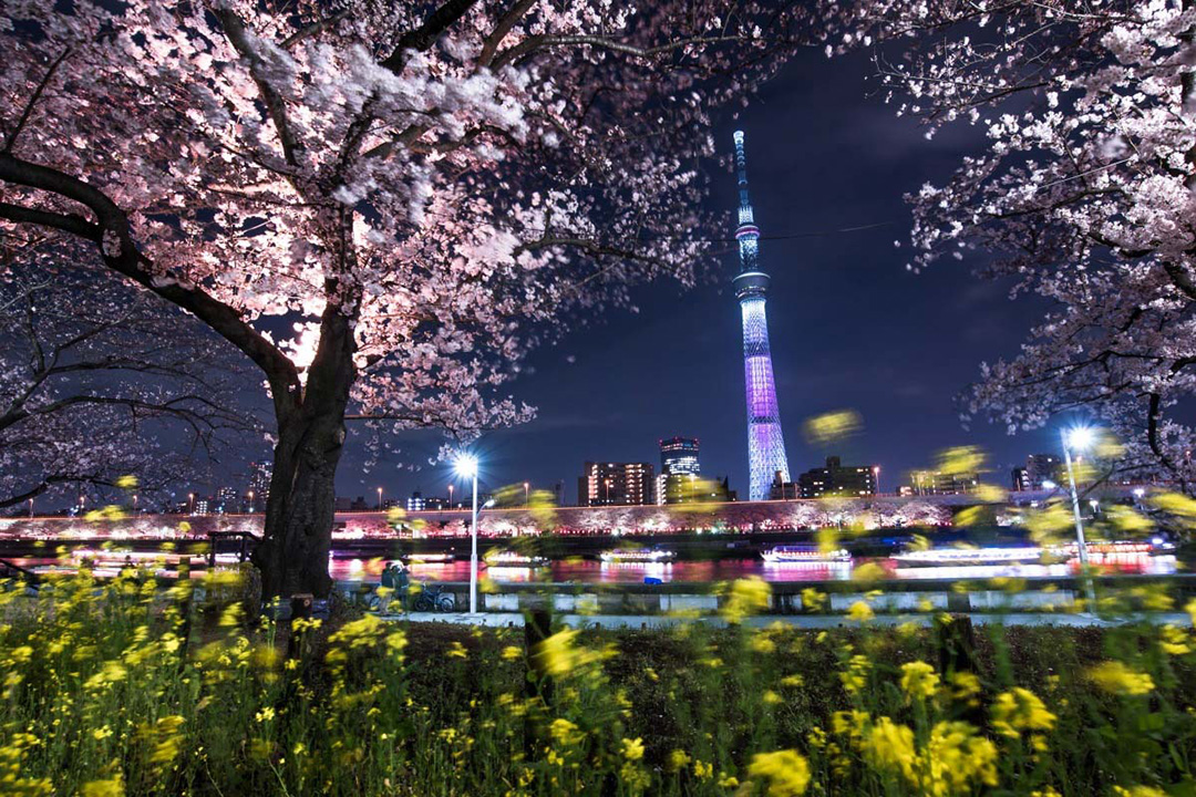 Top 10 Most Romantic Proposal Spots in Tokyo Japan